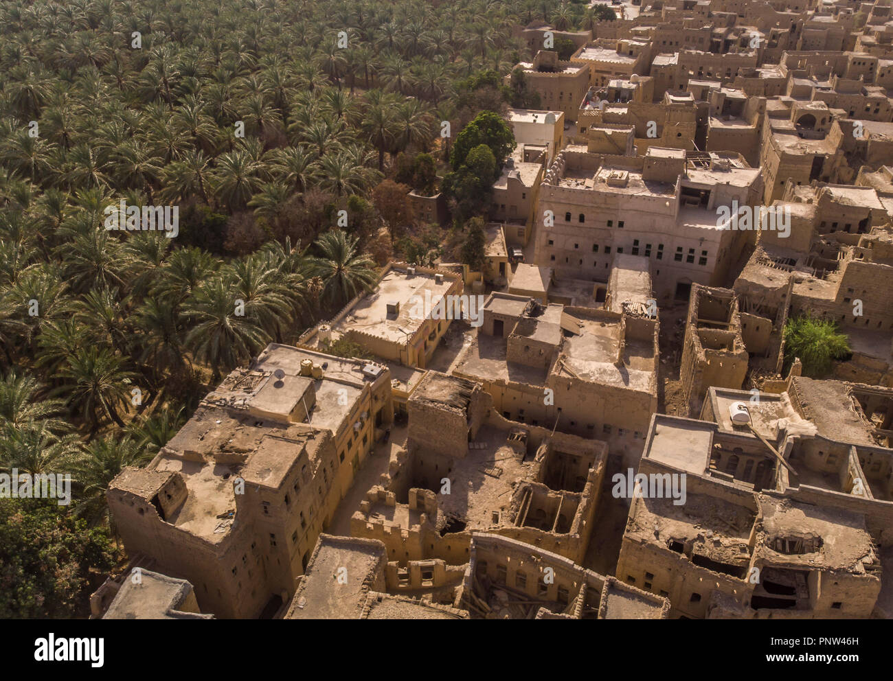 Old town Al Hamra and its date plantation in Oman Stock Photo - Alamy
