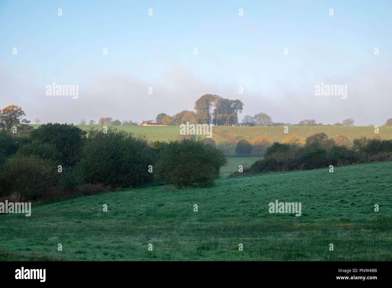 Misty morning parkland hi-res stock photography and images - Alamy