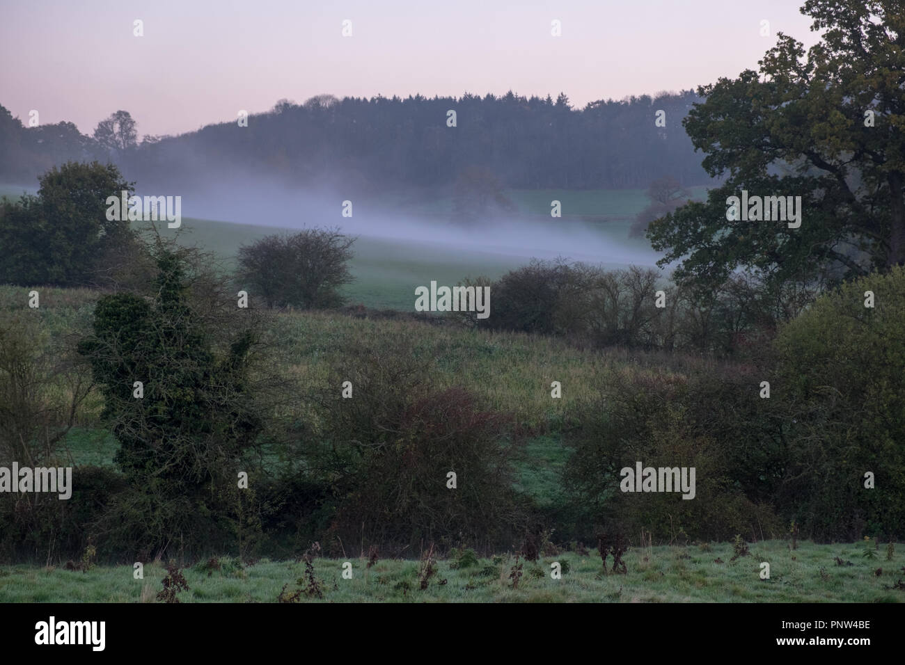 Misty autumn morning in English countryside with fields and trees Stock ...