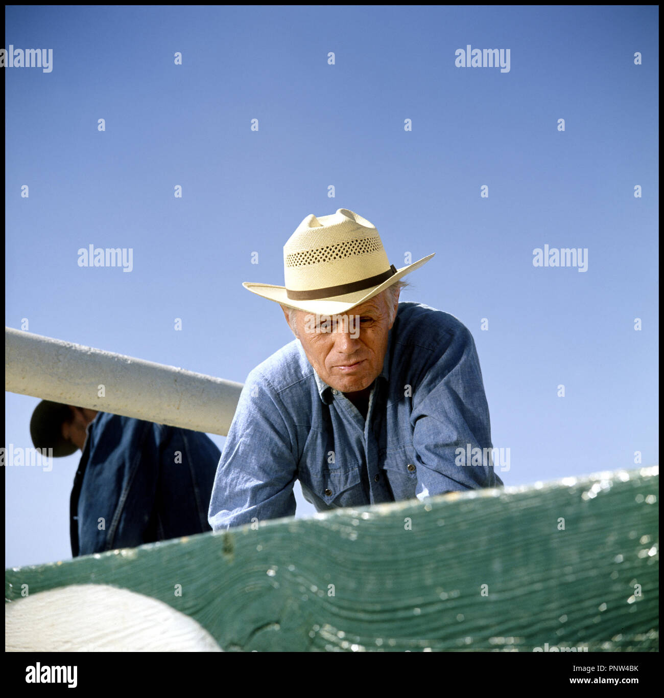 Stuart Millar Stock Photos & Stuart Millar Stock Images - Alamy