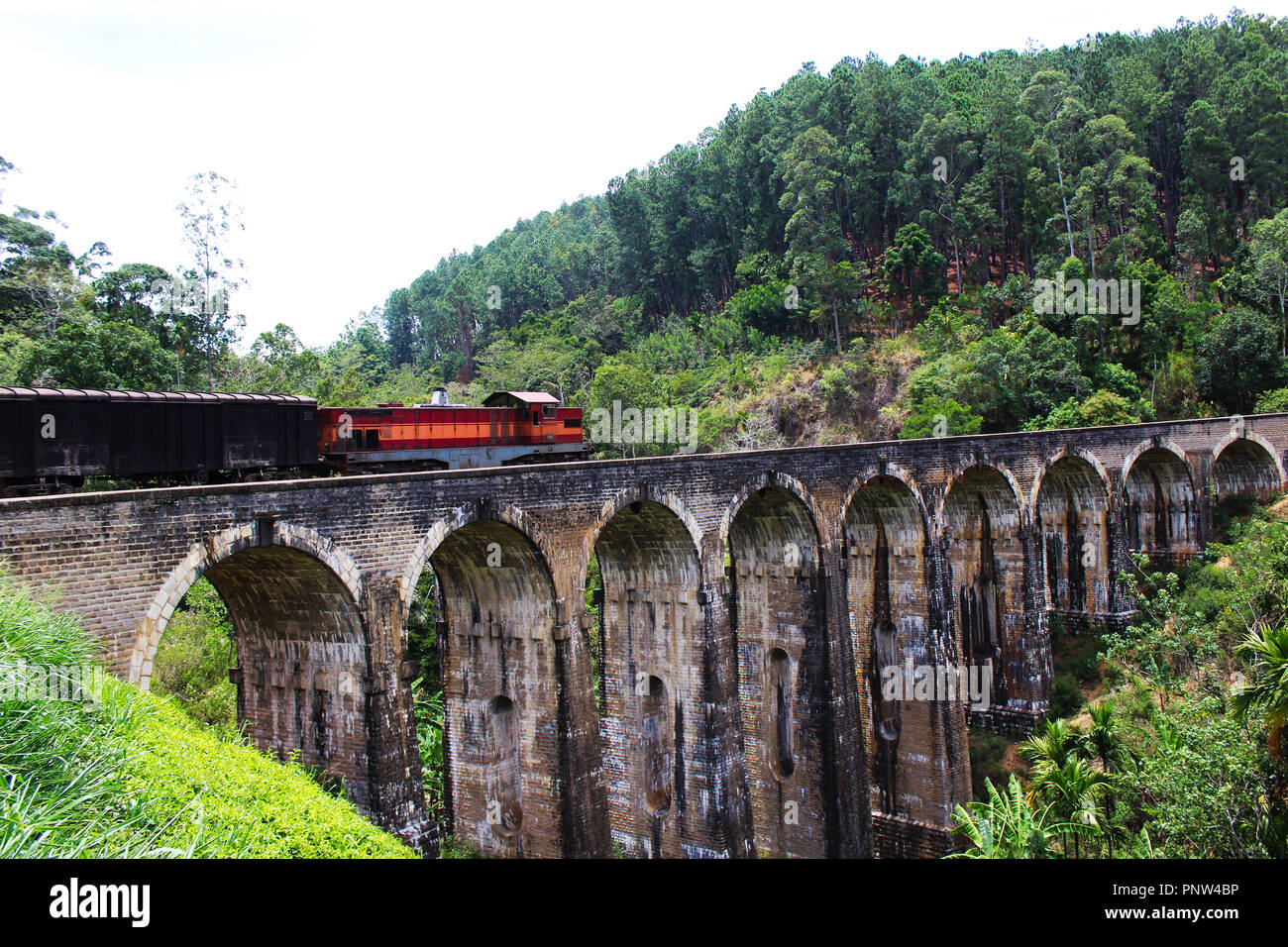 Train in the tea plantation hi-res stock photography and images - Alamy