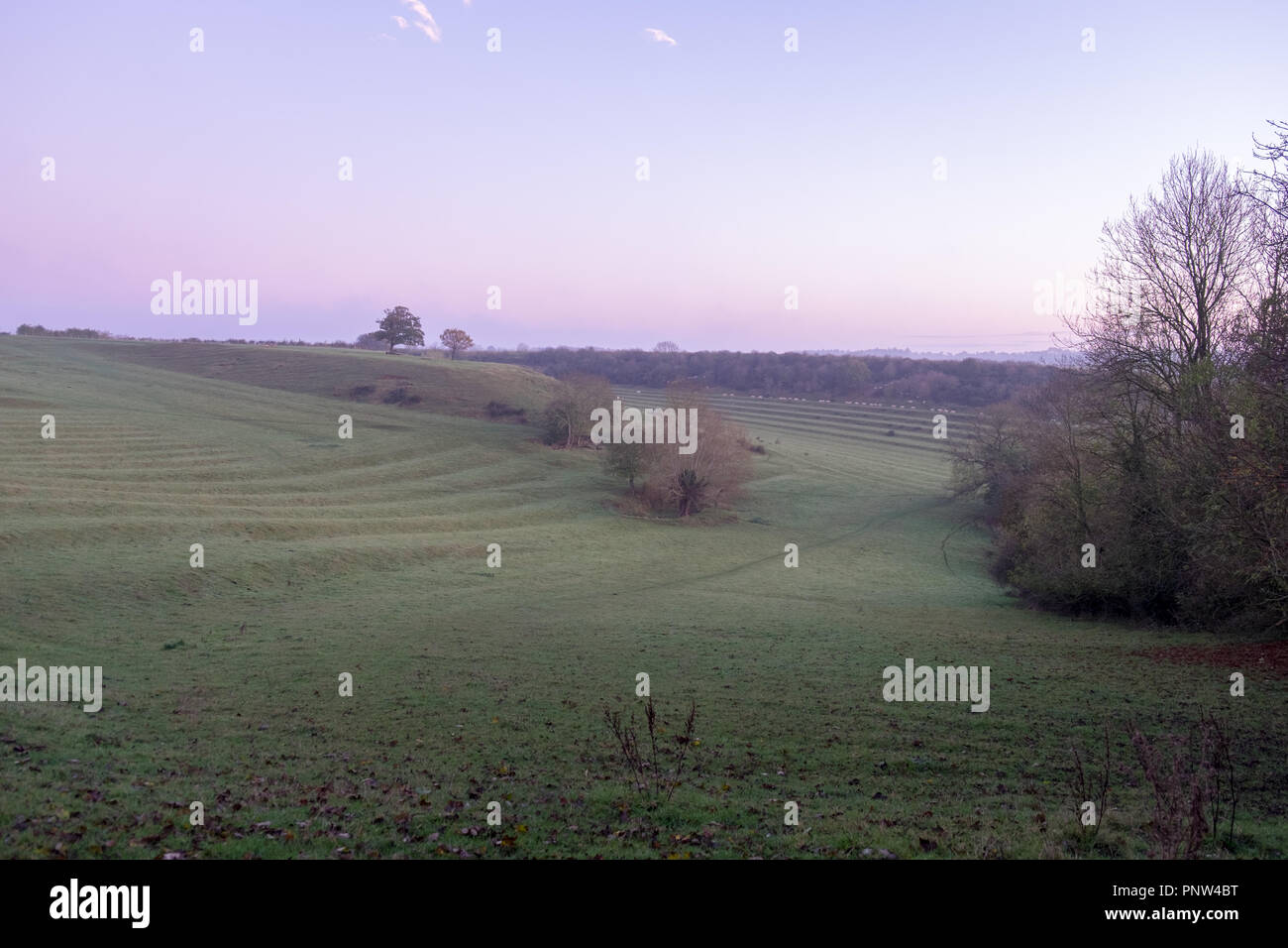 Misty autumn morning in English countryside with fields and trees and ...
