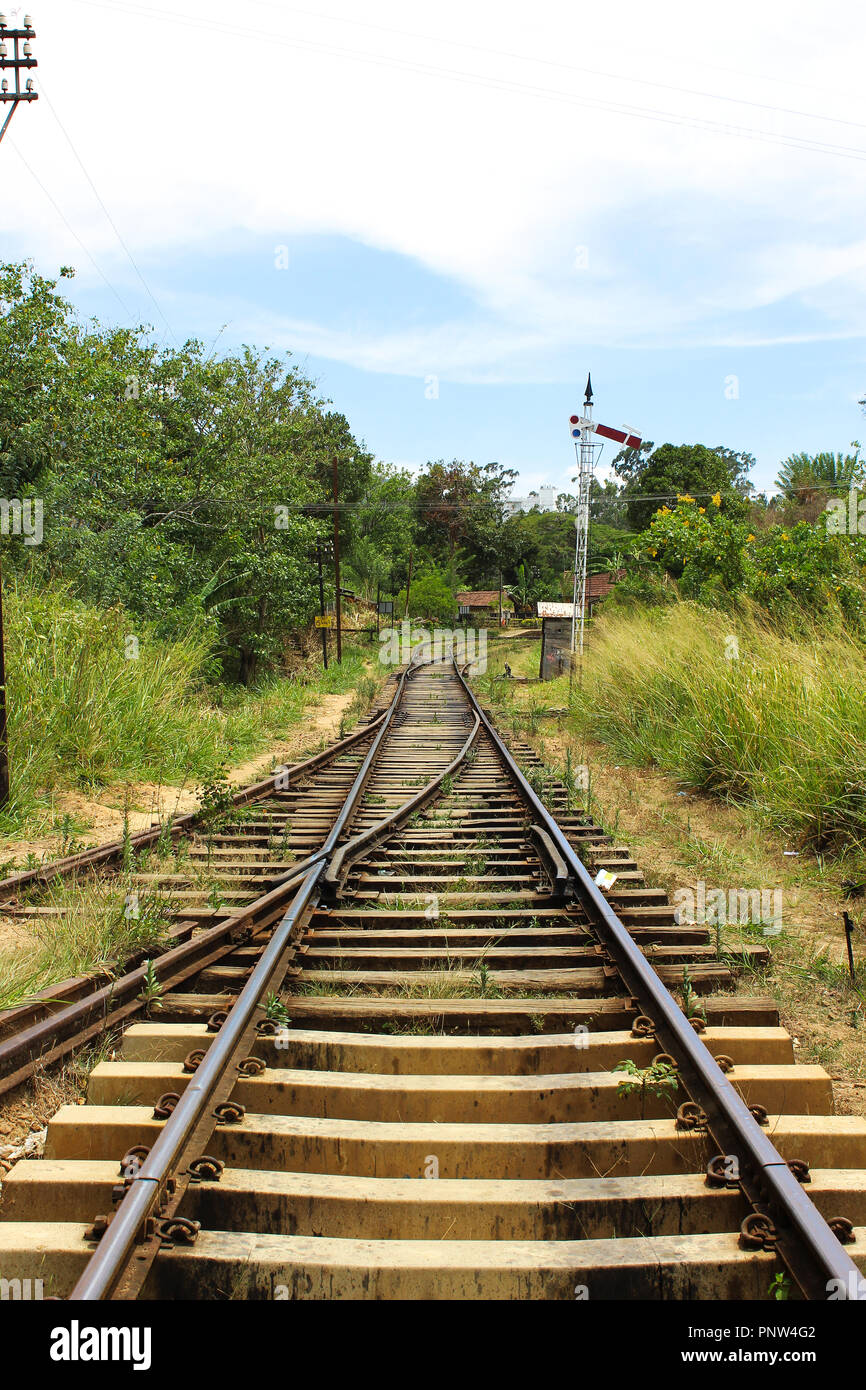 Railway tracks in sri lanka Stock Photo - Alamy