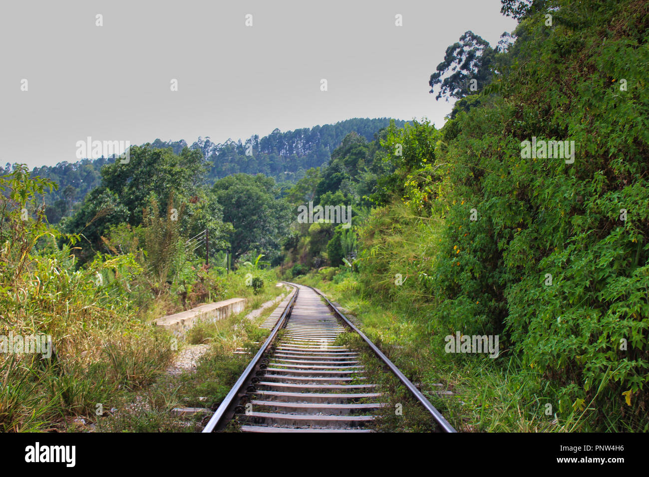 Sri lanka rail road hi-res stock photography and images - Alamy