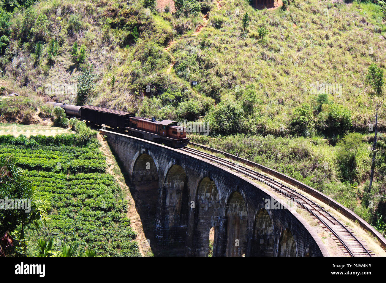 Train in the tea plantation hi-res stock photography and images - Alamy