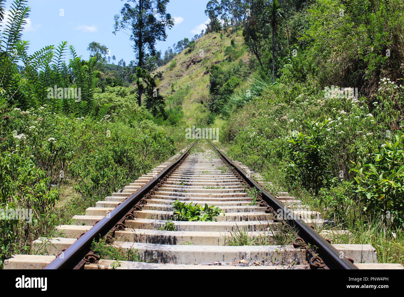 Railway tracks in sri lanka Stock Photo - Alamy