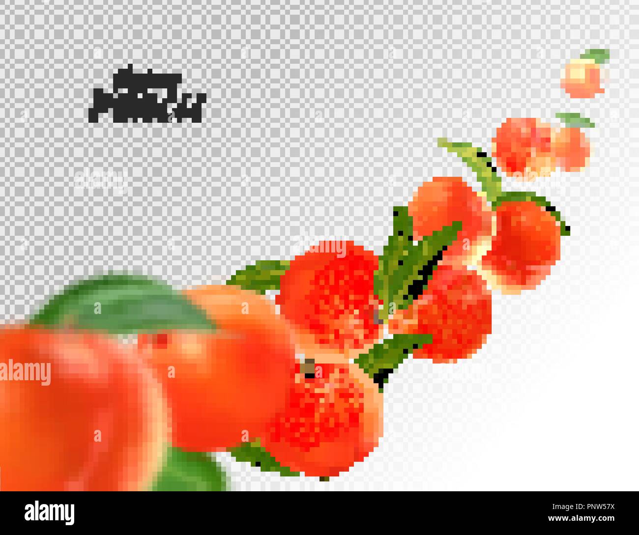 Flying peach. Realistic 3D illustration. Vector peaches on transparent ...