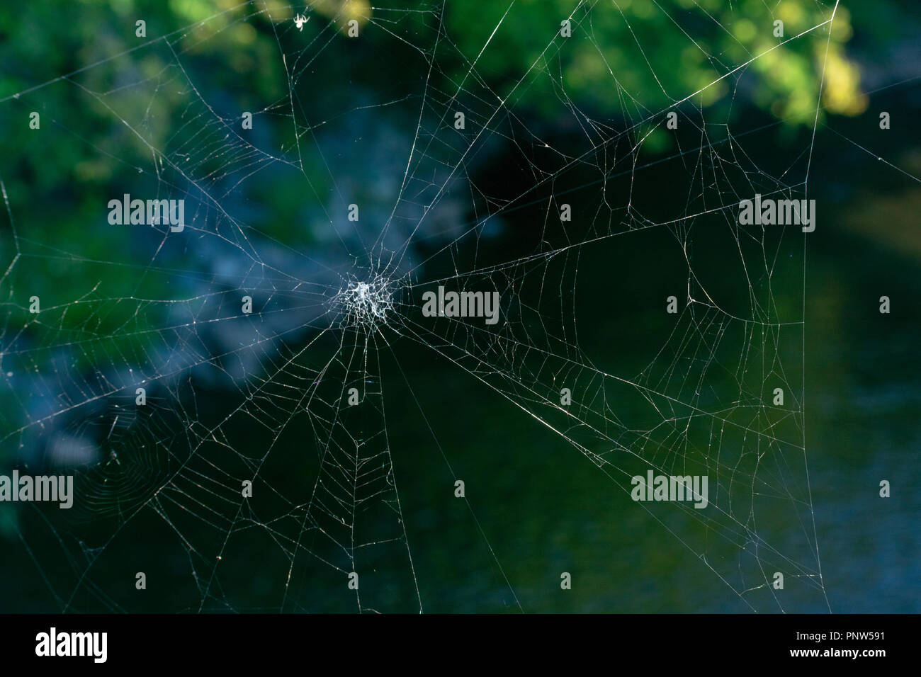 A spider web formed on a bridge over the Saranac River in Plattsburgh ...
