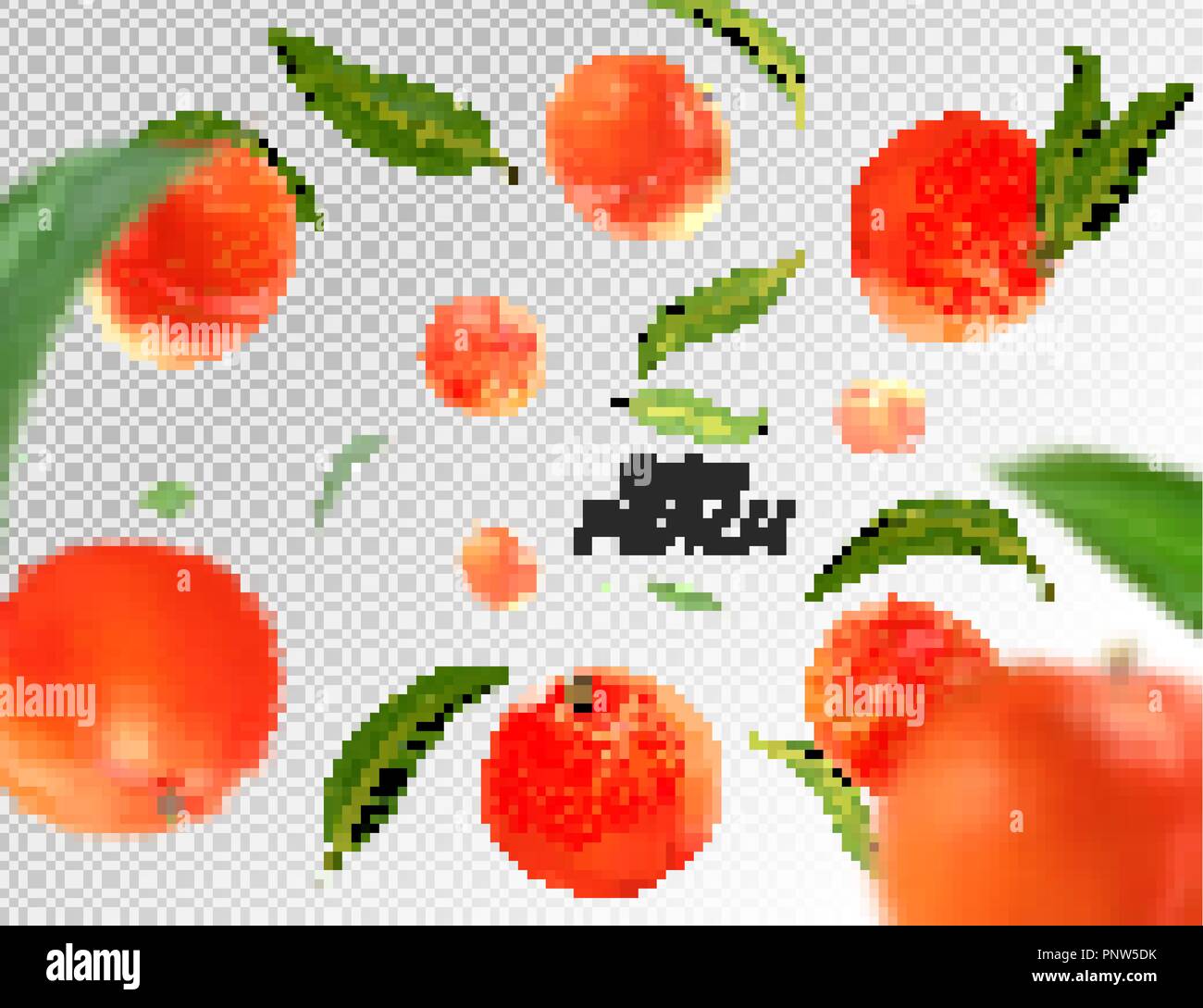 Flying peach. Realistic 3D illustration. Vector peaches on transparent ...