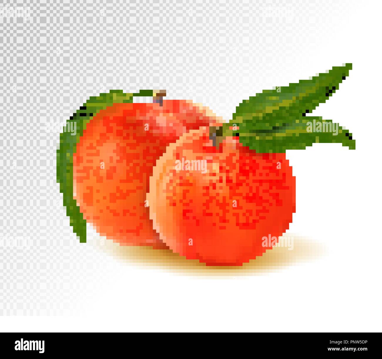 Two peaches with leaves isolated on transparent background. Realistic ...