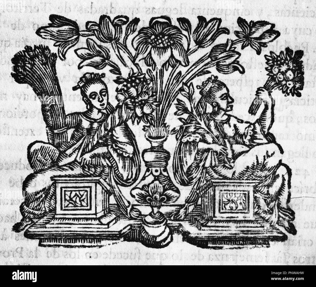 Floral marginal decoration hi-res stock photography and images - Alamy