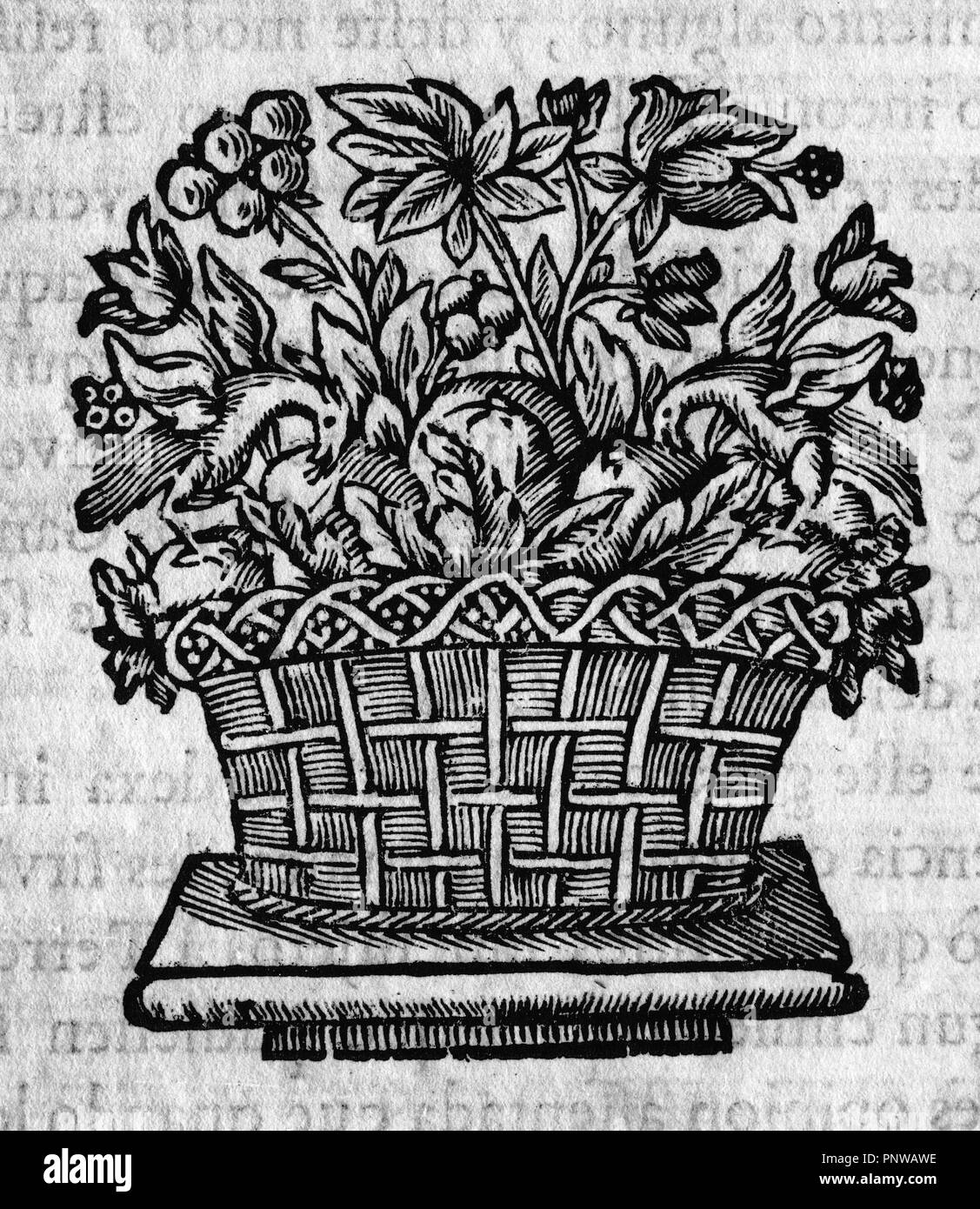 Floral marginal decoration hi-res stock photography and images - Alamy