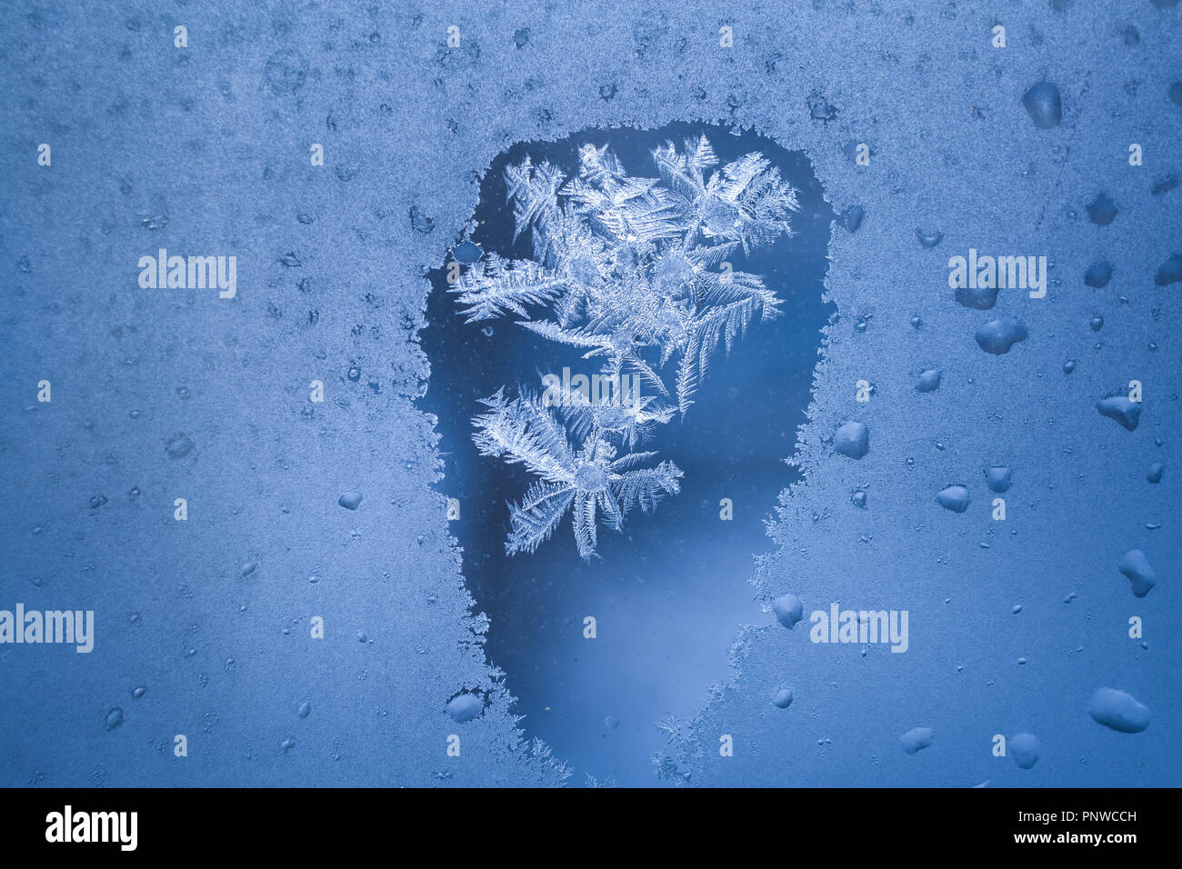 Ice thawed hi-res stock photography and images - Alamy