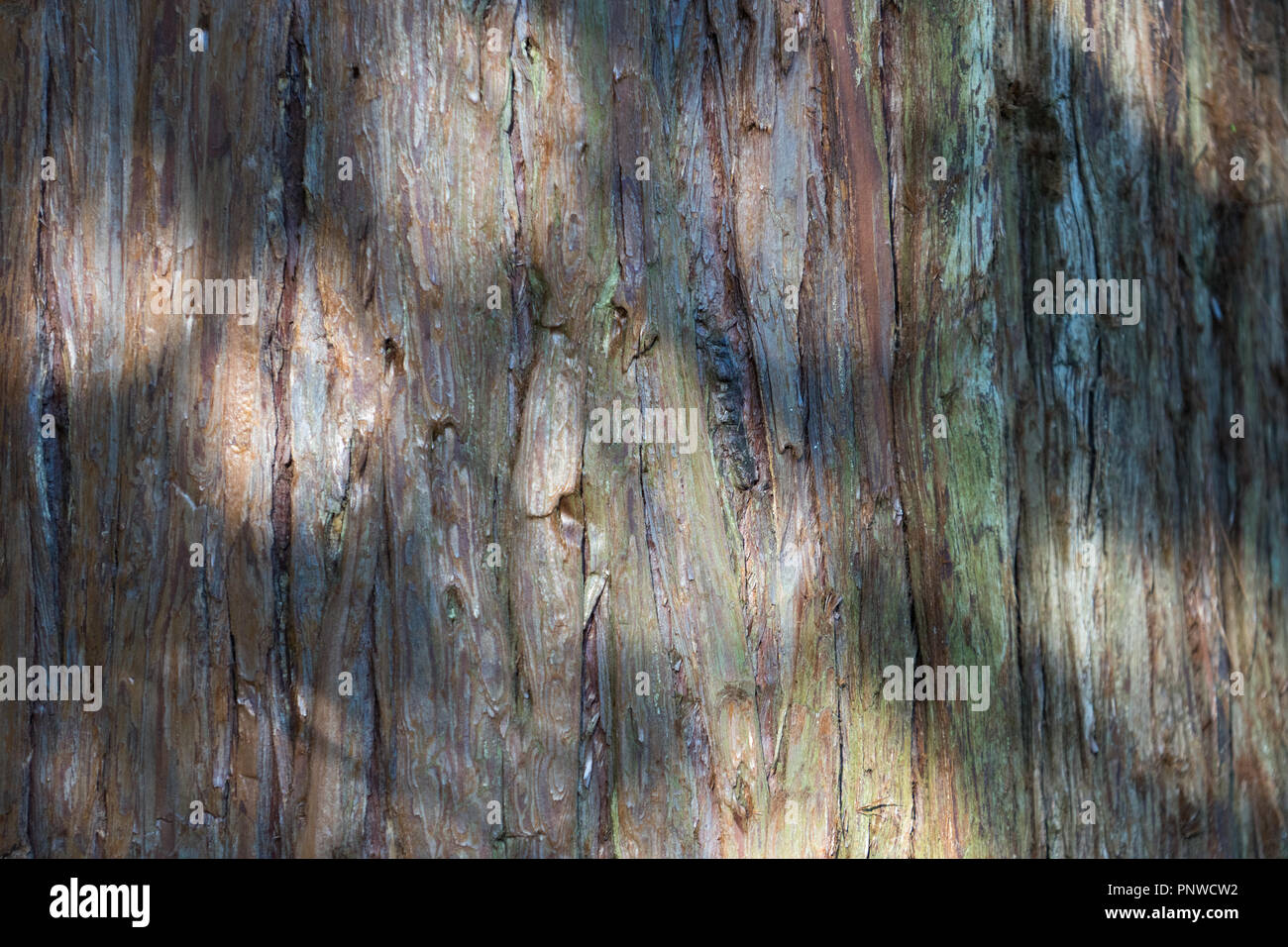Ora background hi-res stock photography and images - Alamy