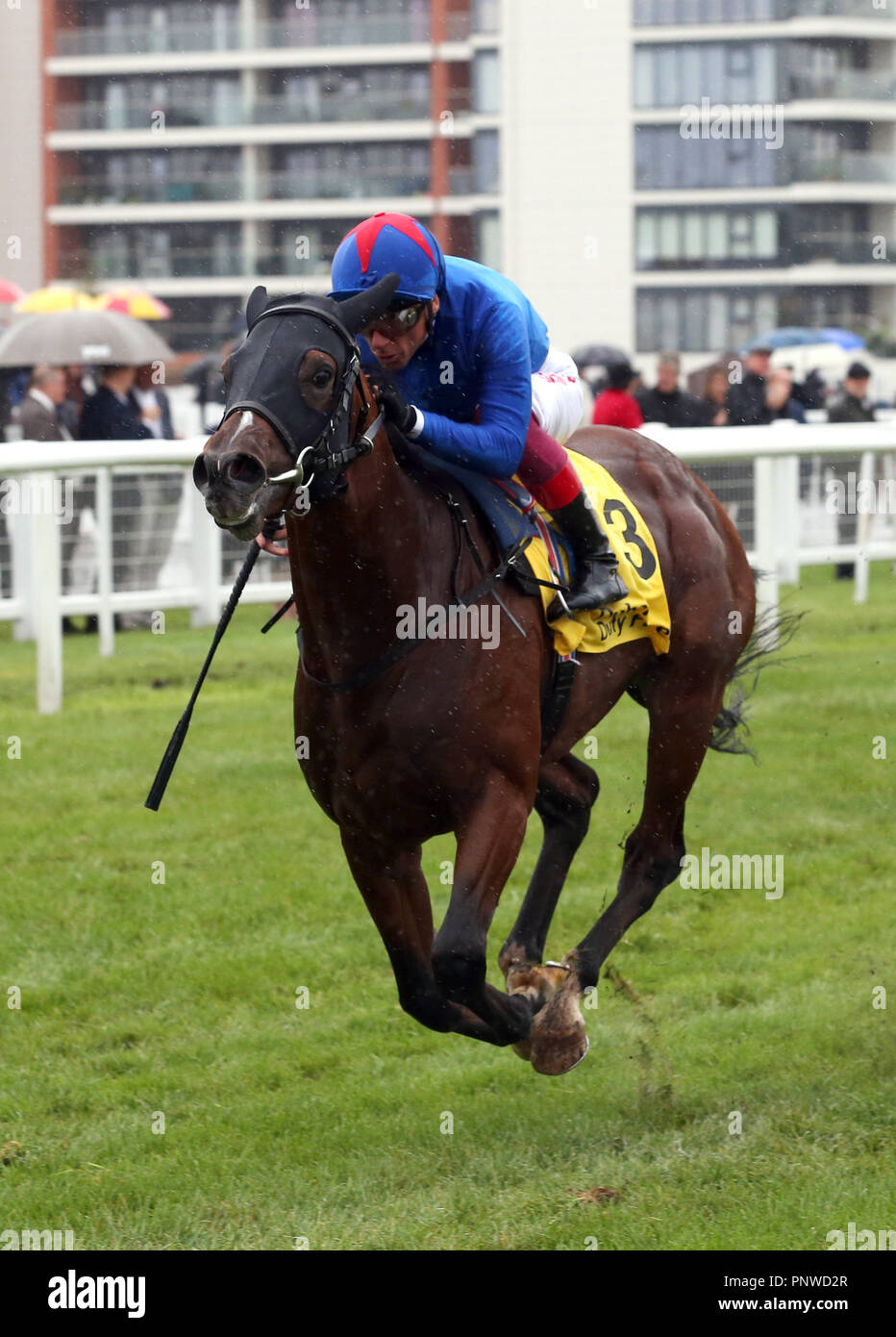 Mill reef horse hi-res stock photography and images - Alamy