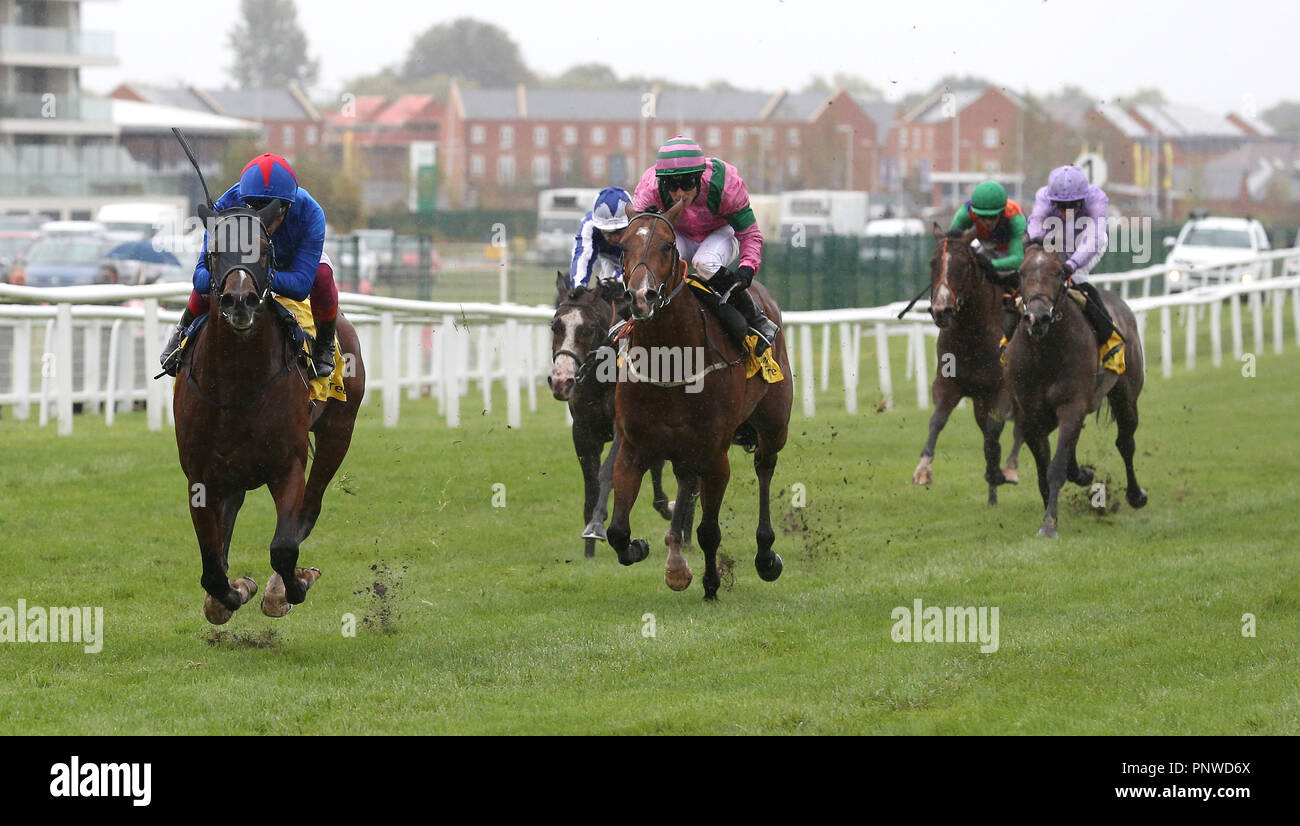 Mill reef horse hi-res stock photography and images - Alamy