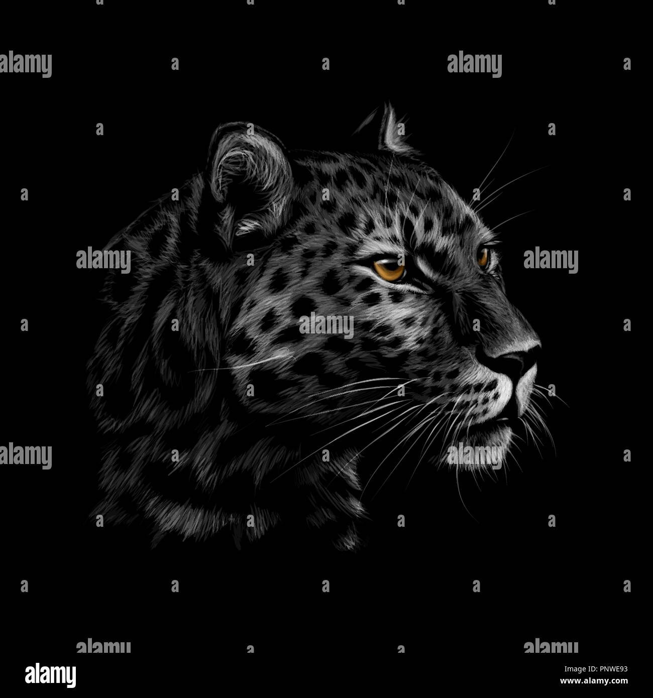 Leopard portrait illustration hi-res stock photography and images - Alamy