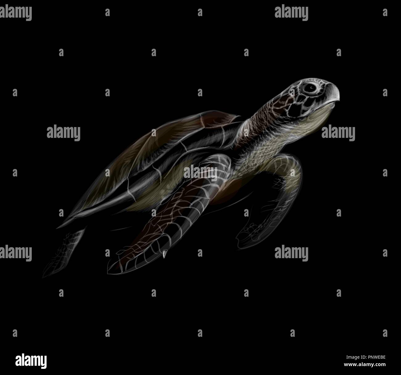 Portrait green Stock Vector Images - Alamy