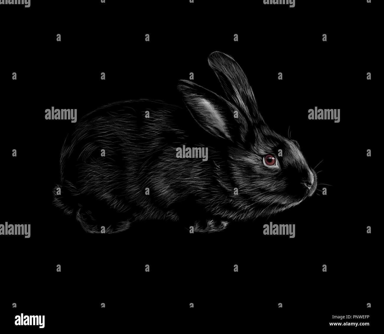 Portrait cute white gray Stock Vector Images - Alamy