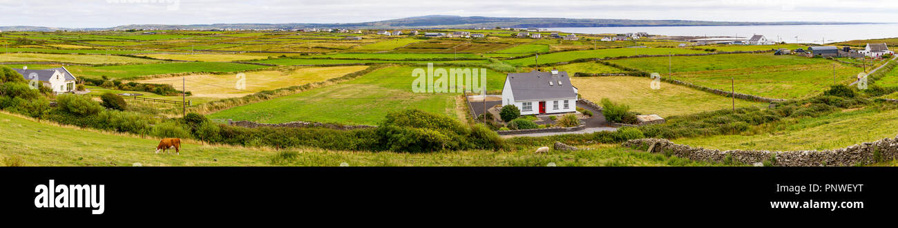Liscannor stone hi-res stock photography and images - Alamy