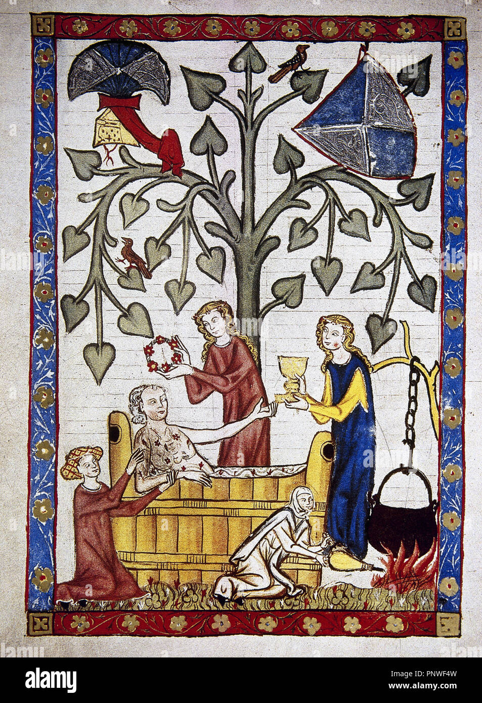 Codex palatinus hi-res stock photography and images - Alamy