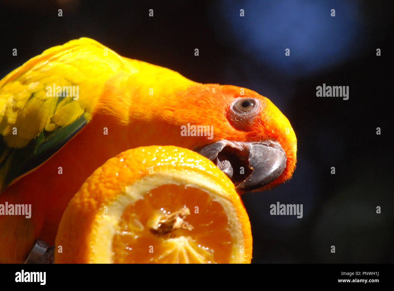 Pulsating hi-res stock photography and images - Alamy