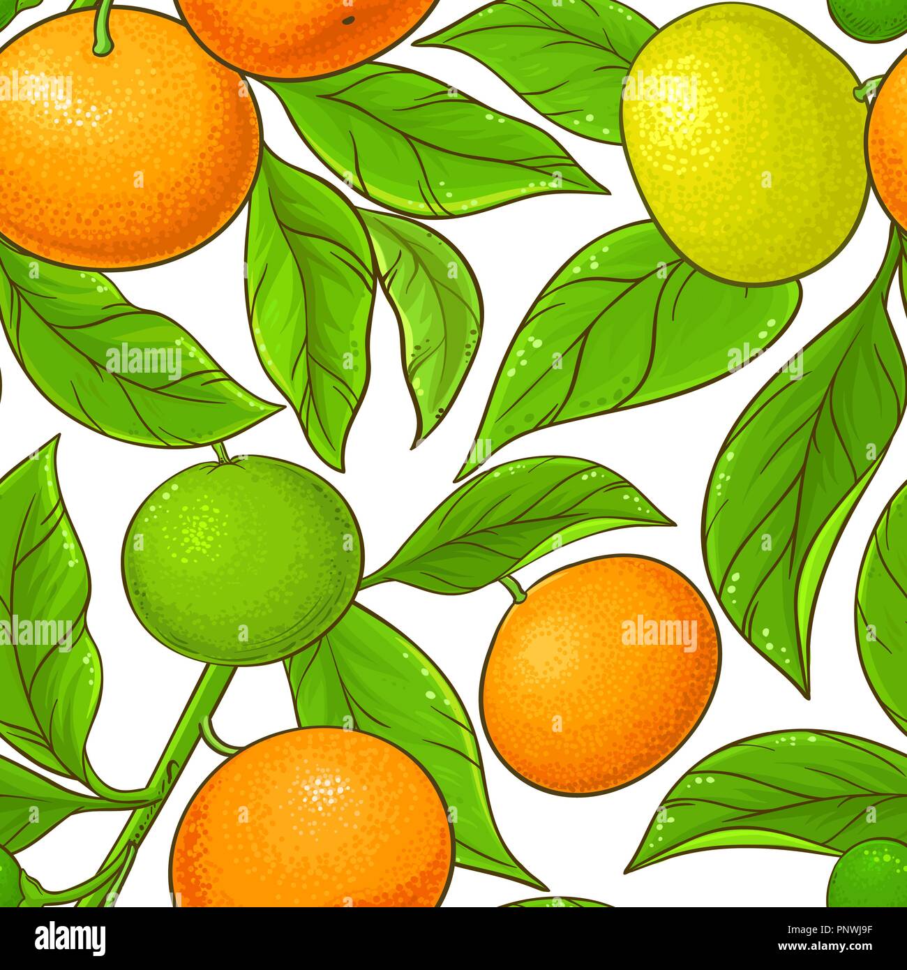 Mandarin flower Stock Vector Images - Alamy