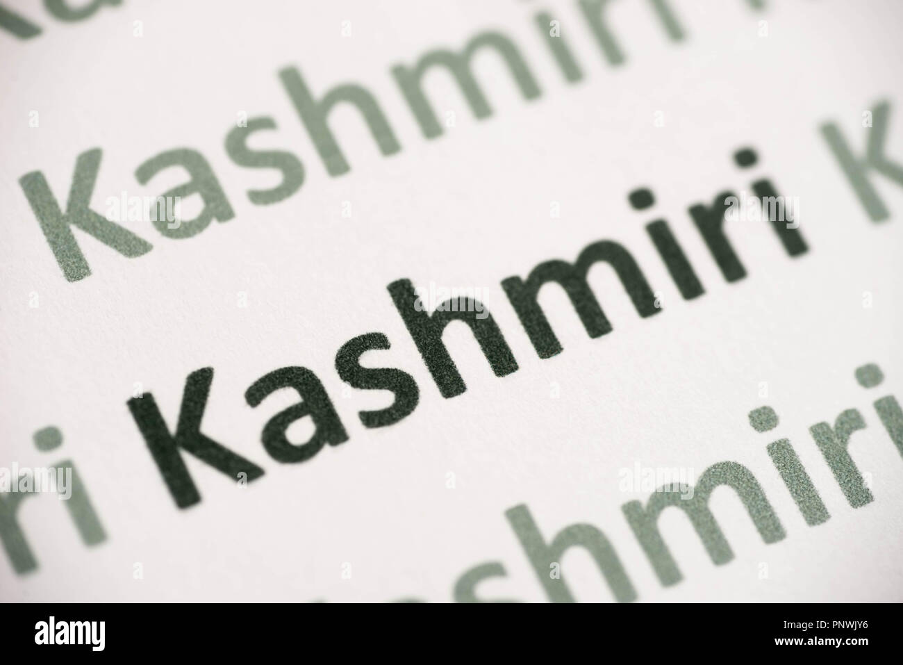 Kashmiri Language
