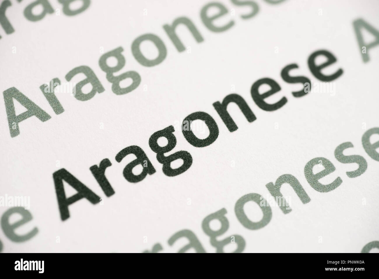 word Aragonese language printed on white paper macro Stock Photo - Alamy
