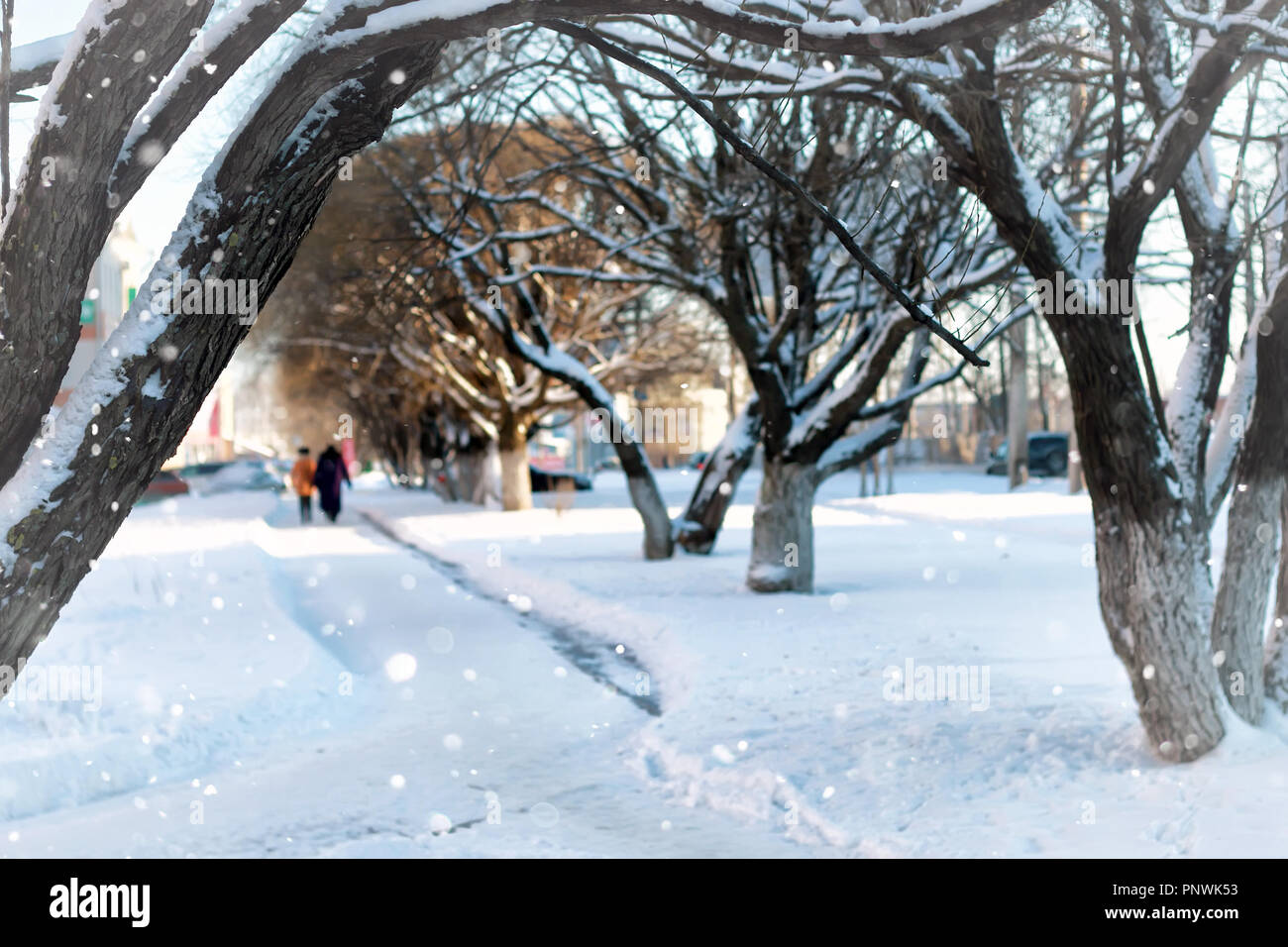 Toronto bike trail hi-res stock photography and images - Alamy