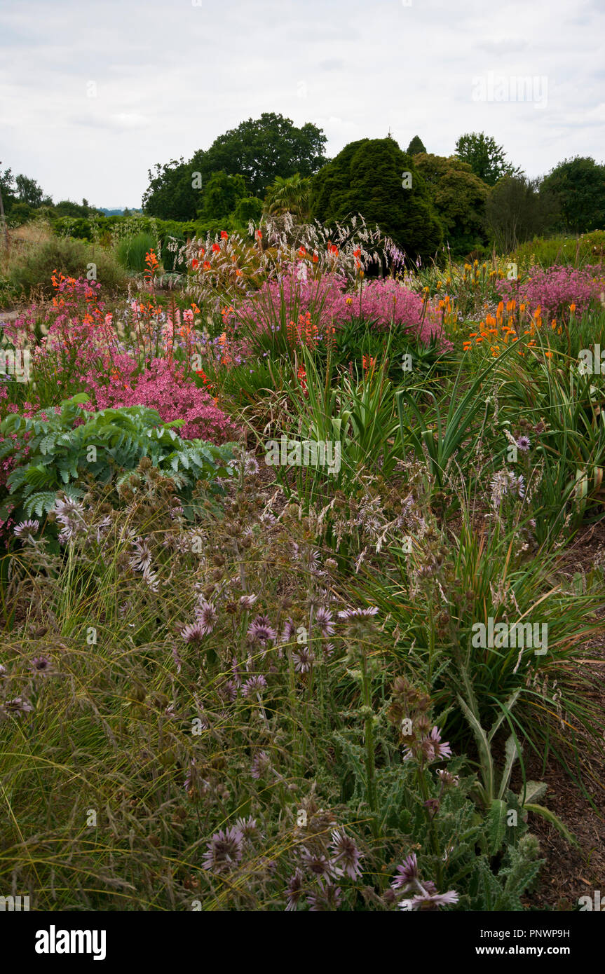 A Dry Rock Garden with Drought Loving Plants Stock Photo - Alamy