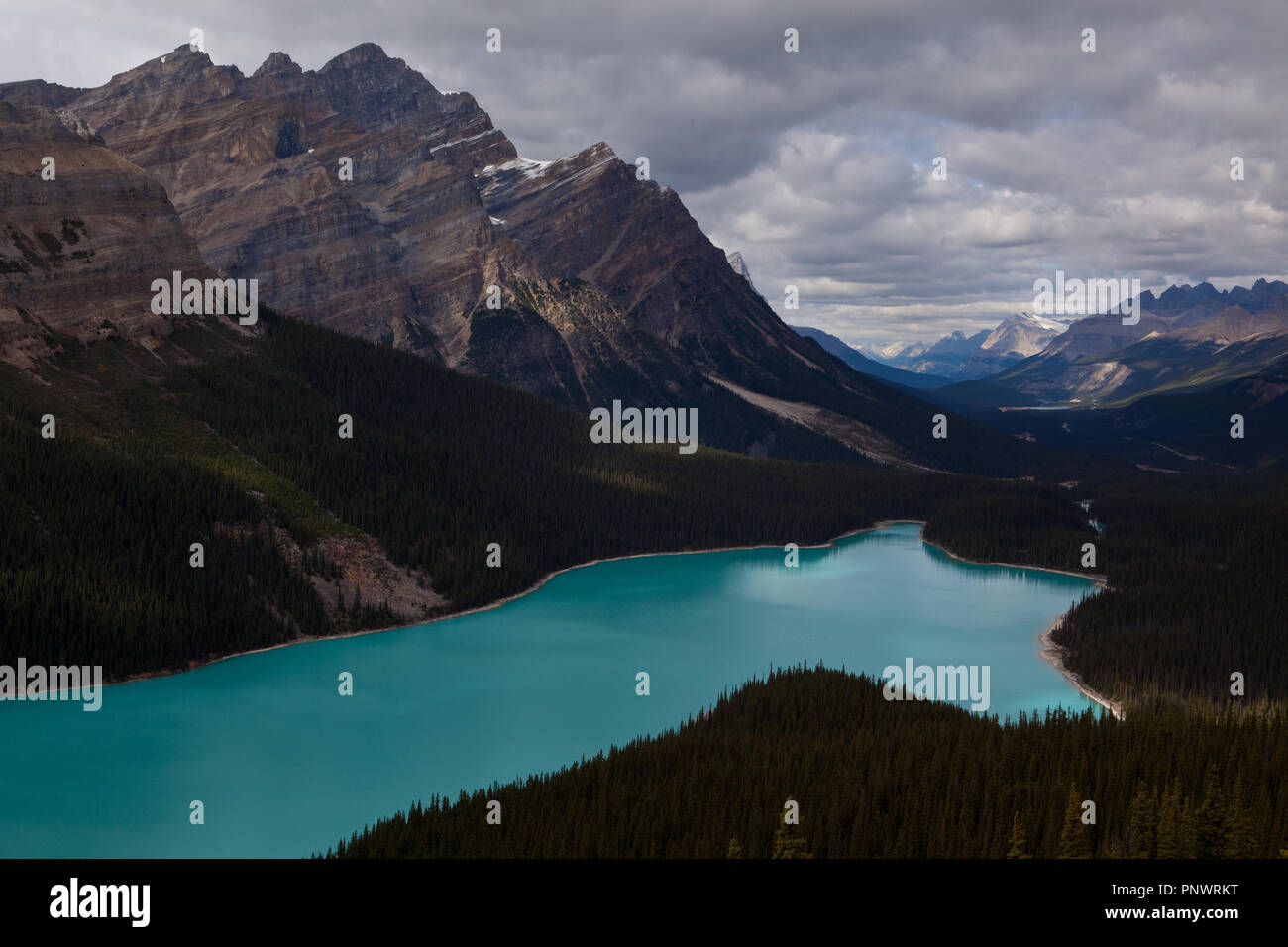 Peyto lake lake hi-res stock photography and images - Alamy