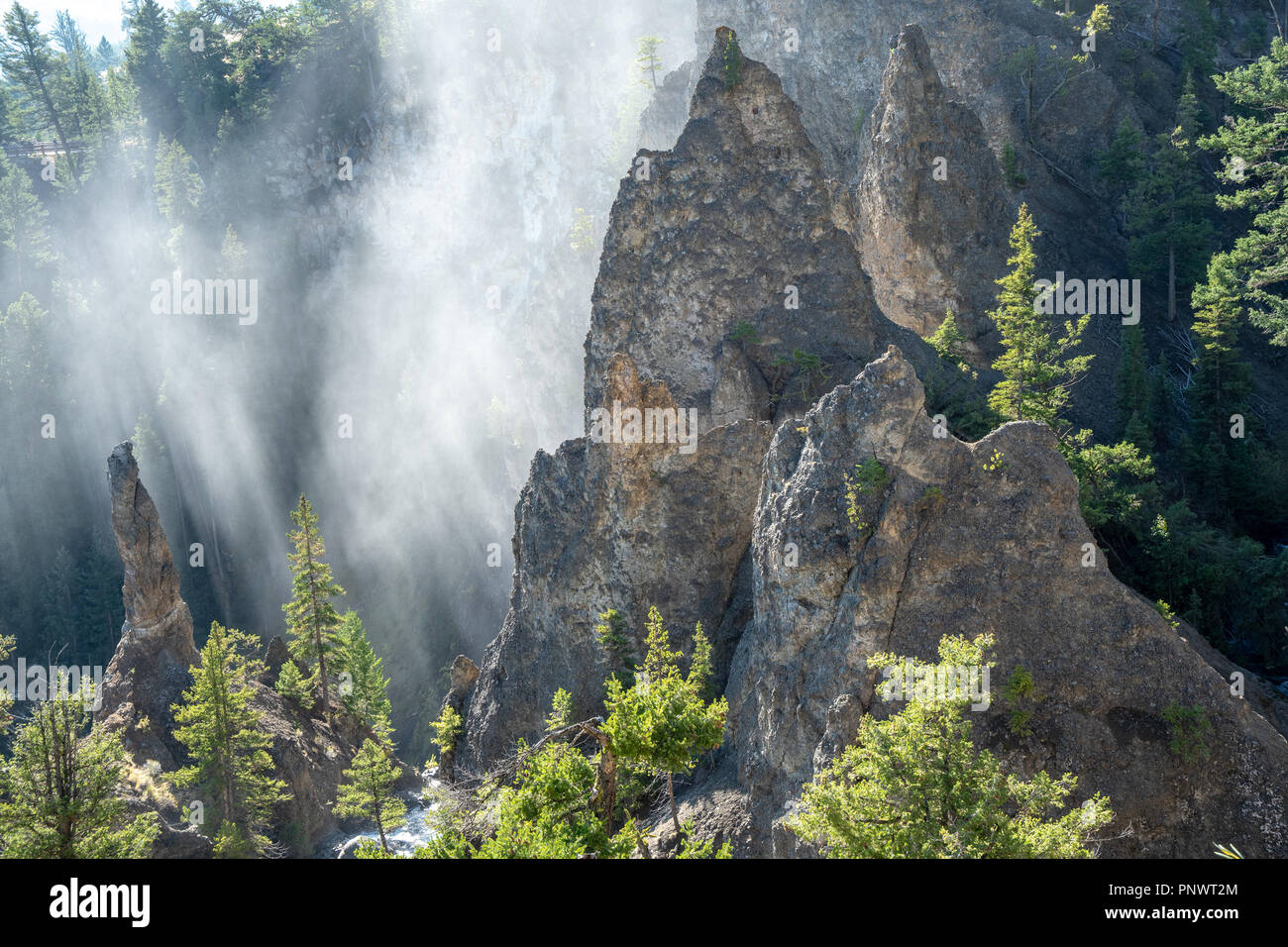 Morning mist in Yellowstone National Park Stock Photo - Alamy