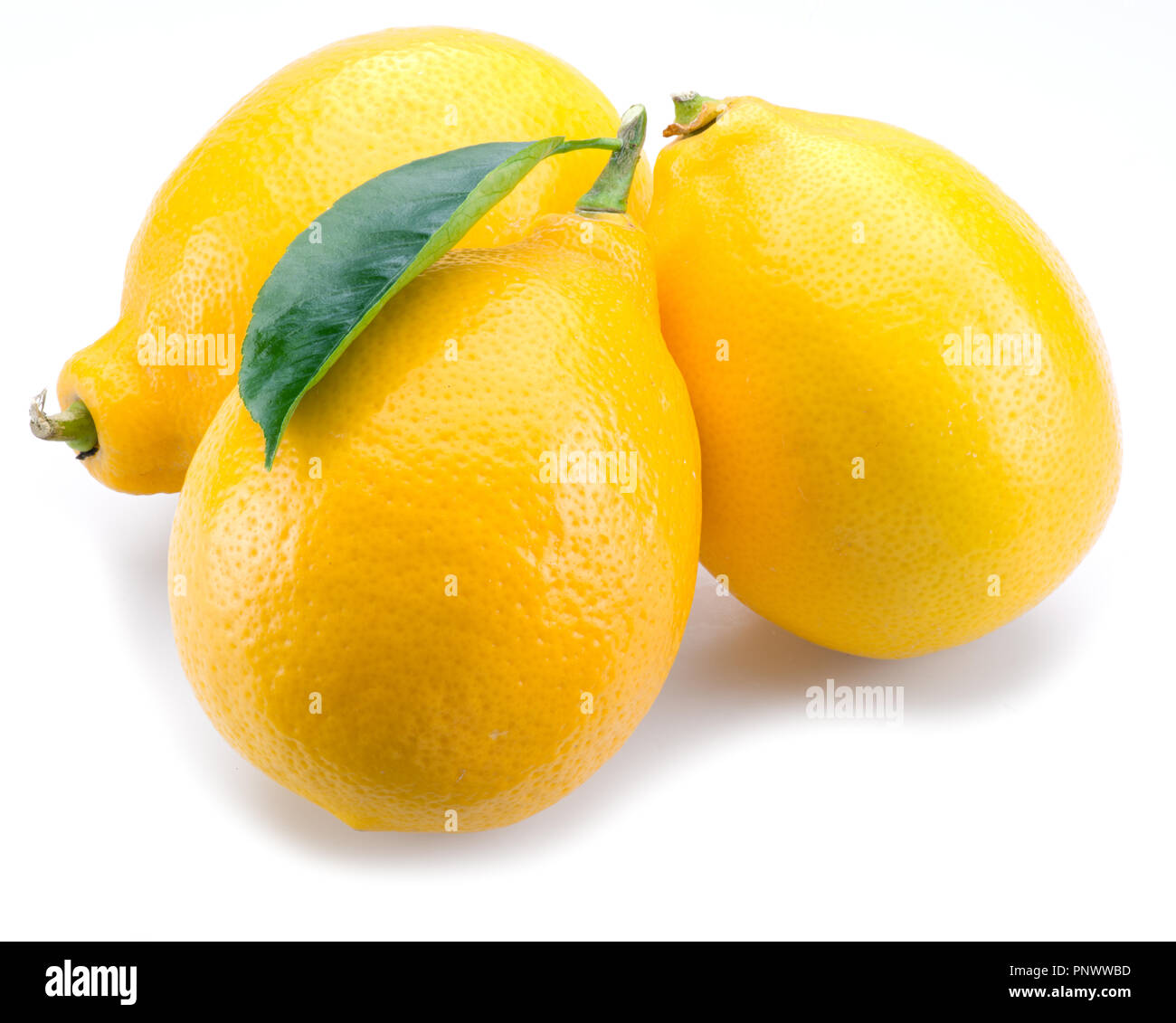 Ripe lemon fruits with lemon leaf on the white background Stock Photo ...