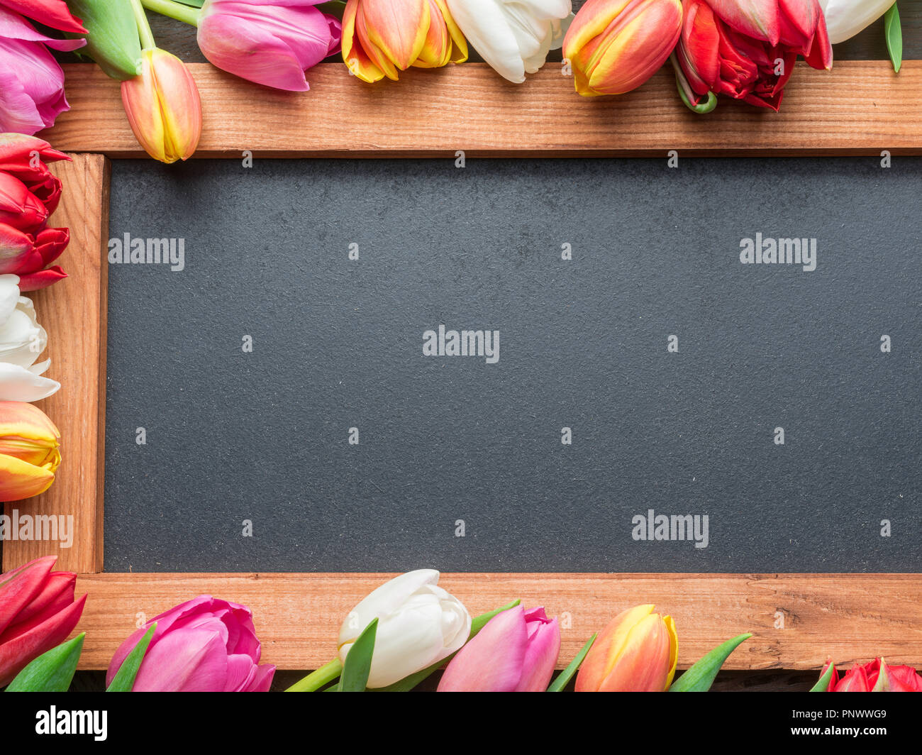 Colorful tulips arranged as frame on wooden background. Top view Stock ...