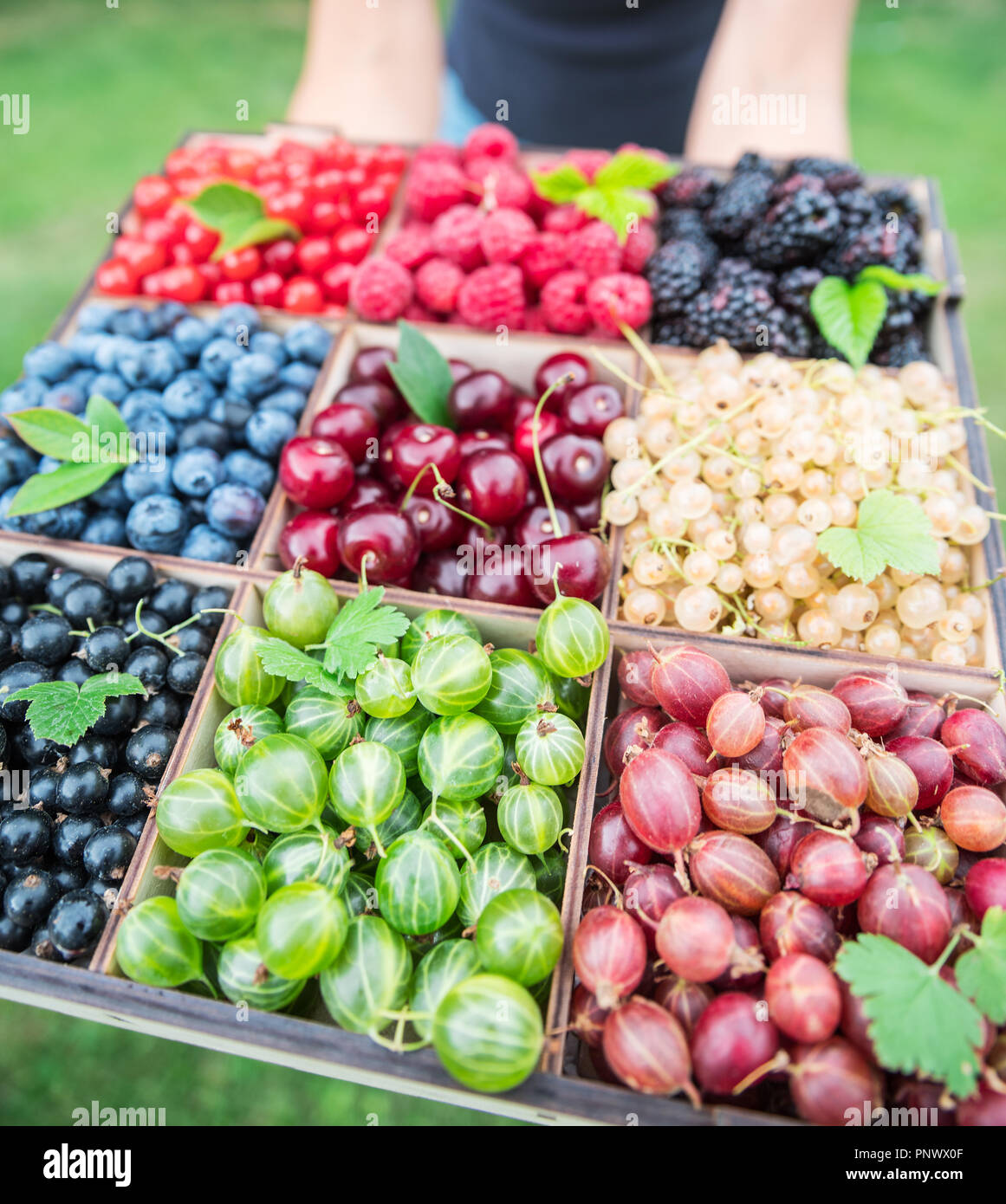 Wooden box with berries hi-res stock photography and images - Alamy