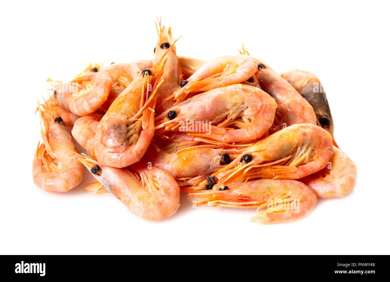 shrimp closeup on white isolated background Stock Photo - Alamy