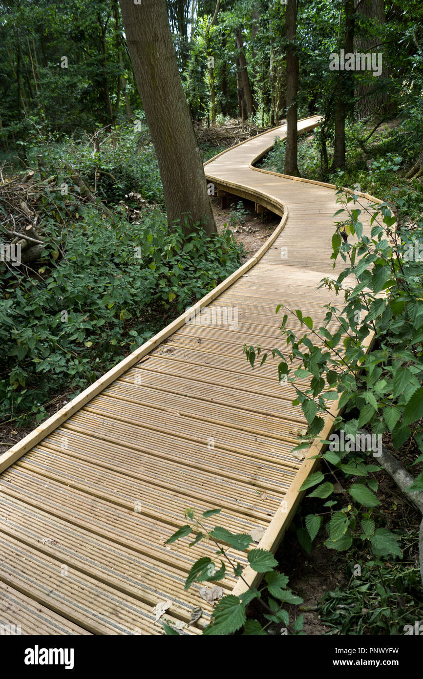 Rough terrain hi-res stock photography and images - Alamy