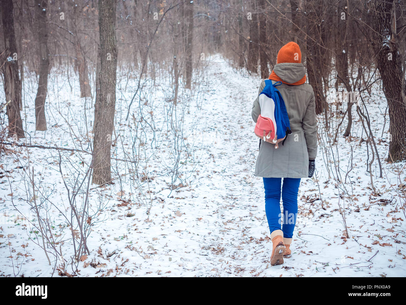 Walking in winter woods hi-res stock photography and images - Alamy