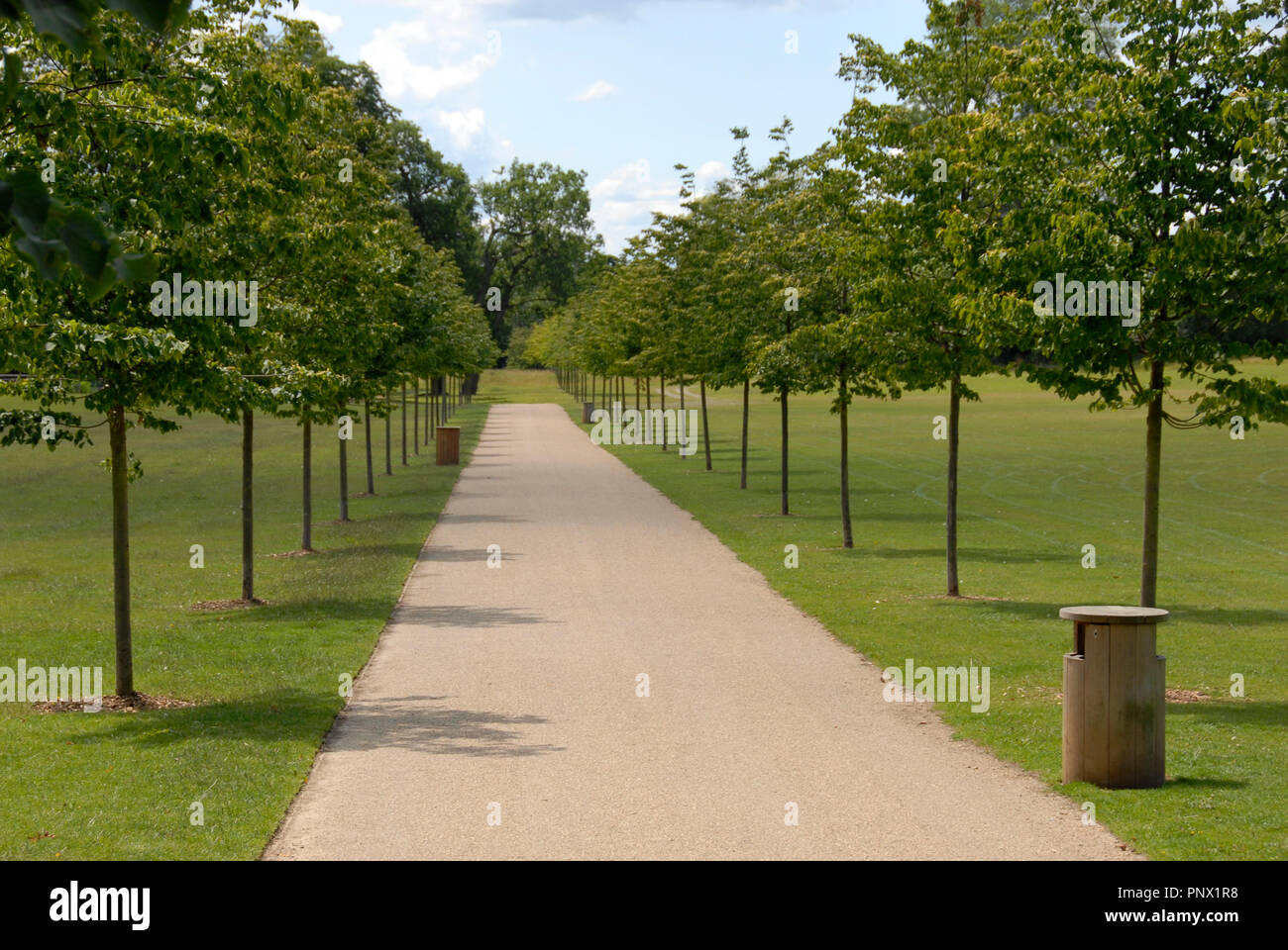 Long straight path in public park Stock Photo - Alamy