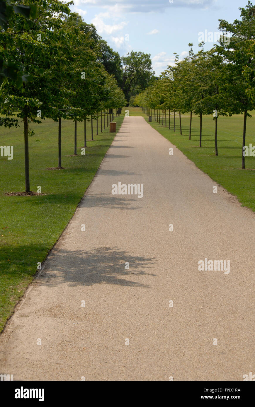 Avenue straight route pathway hi-res stock photography and images - Alamy