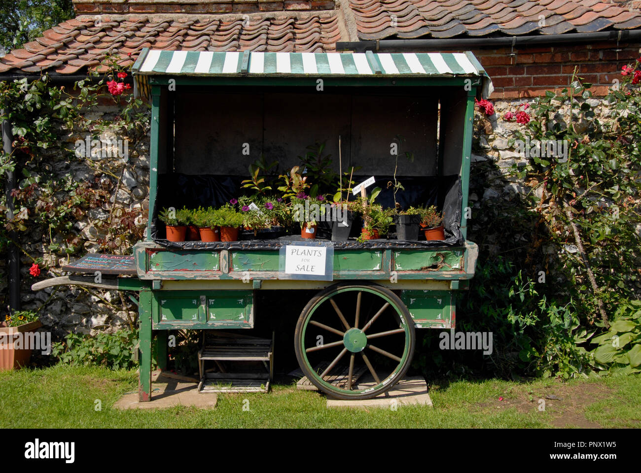 Wheel barrow plants hi-res stock photography and images - Alamy