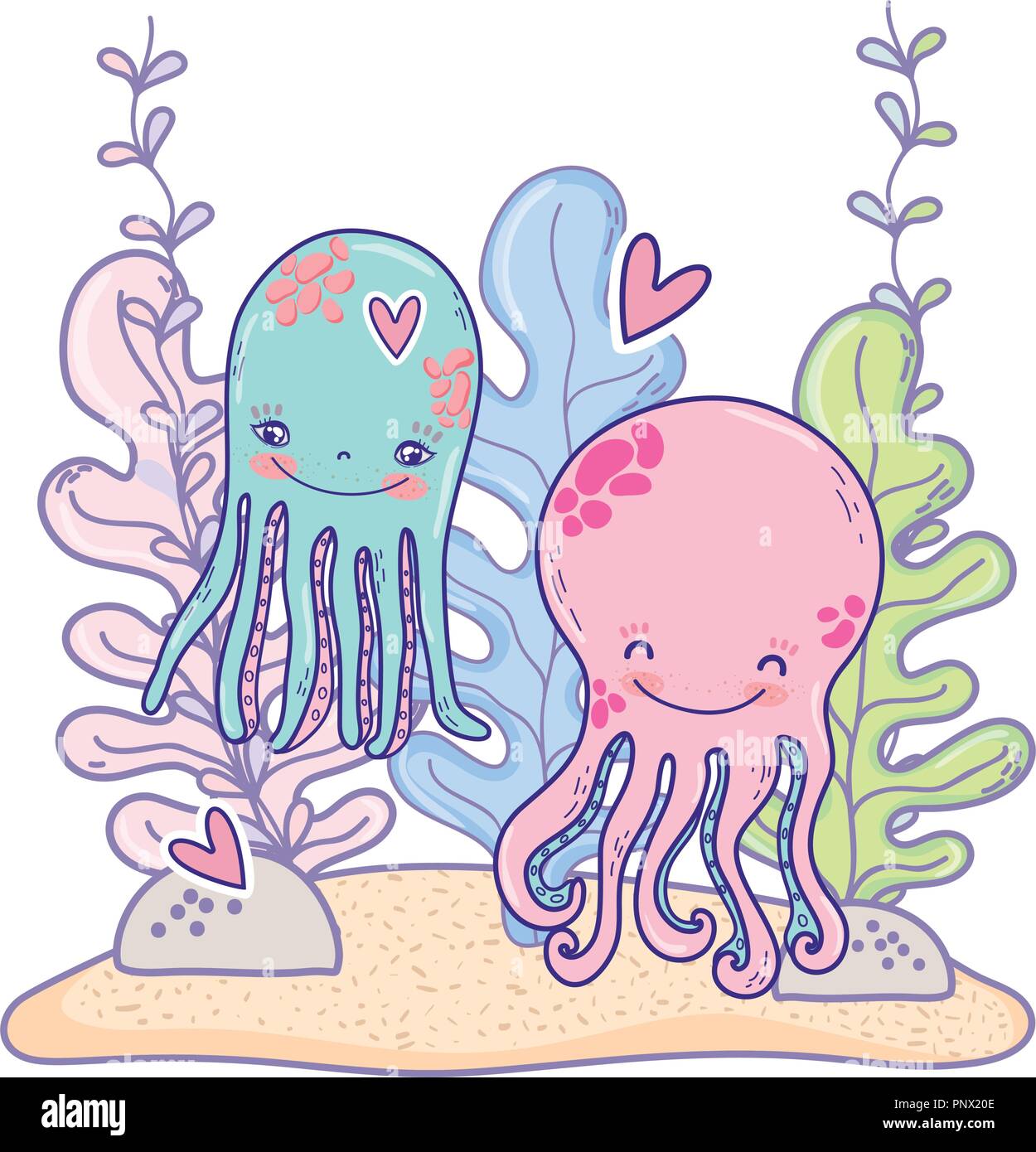 octopus couple animals with heart and seaweed plants Stock Vector Image ...