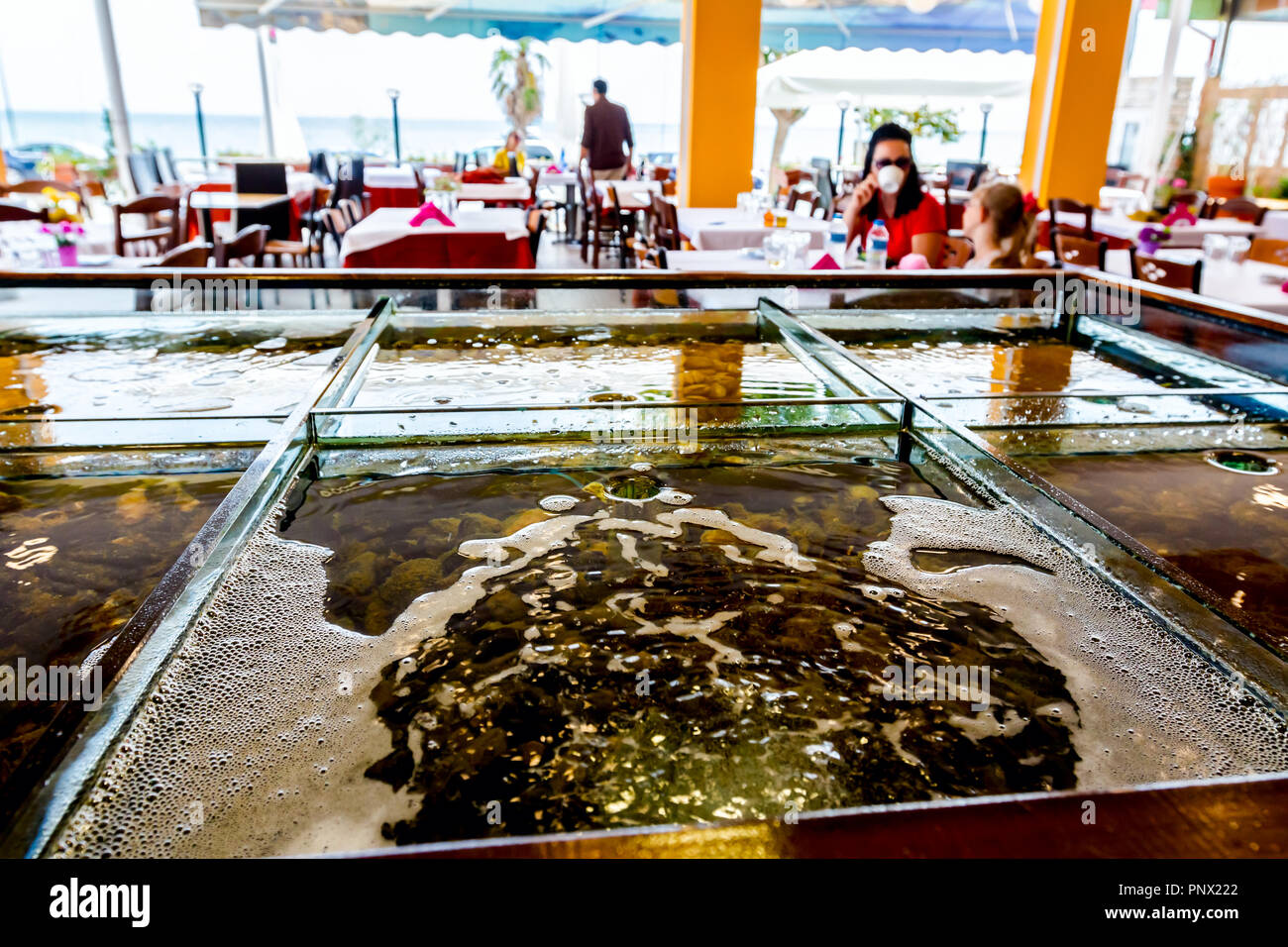 Live sea animals are in divided aquarium, tank at traditional seafood ...