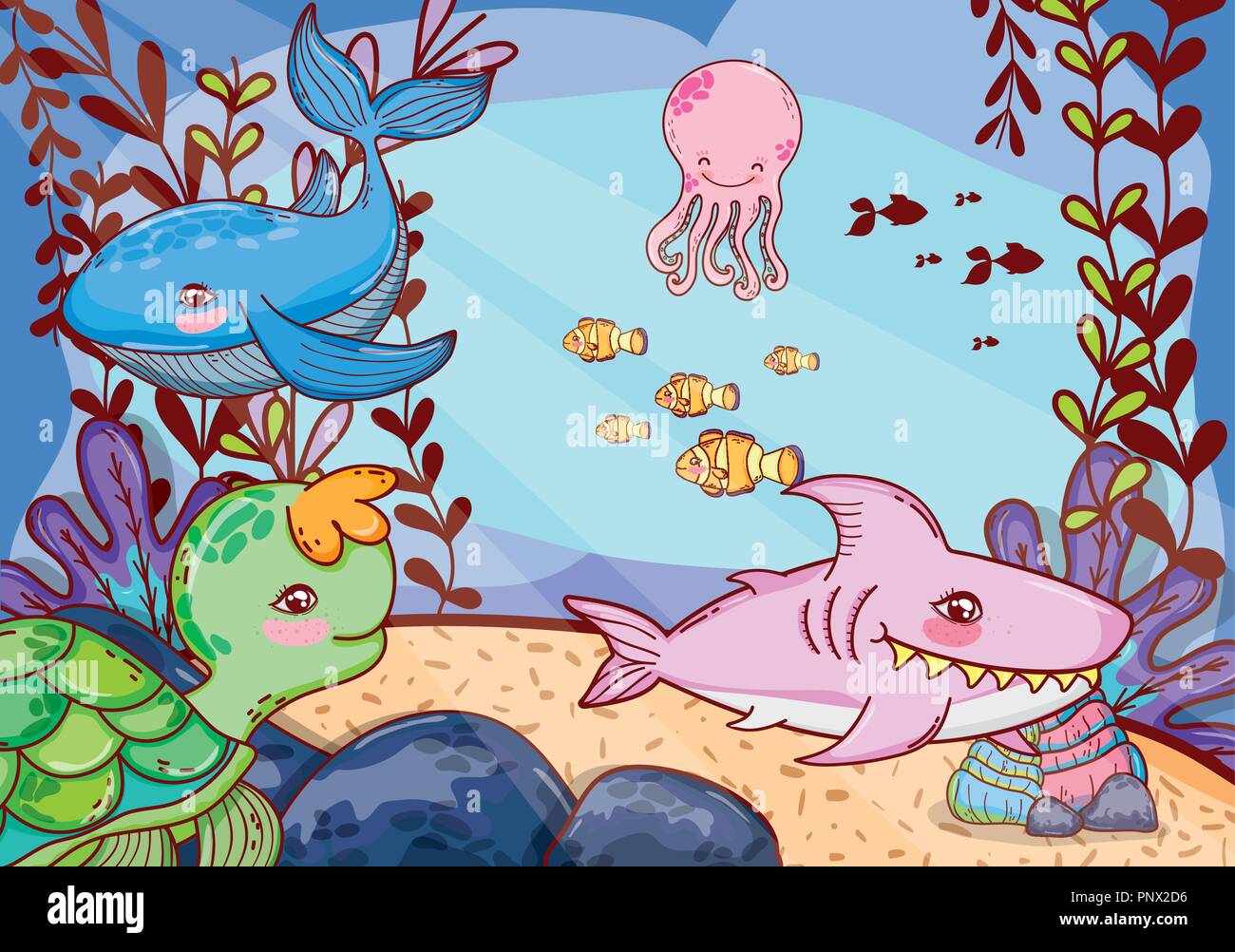 Ocean Plants And Animals List