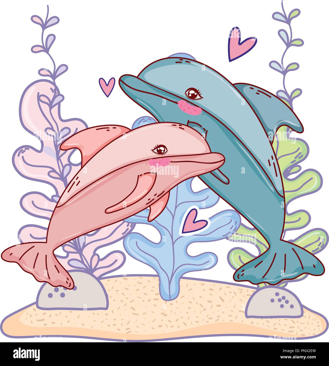 dolphin couple animal with seaweed plants Stock Vector Image & Art - Alamy