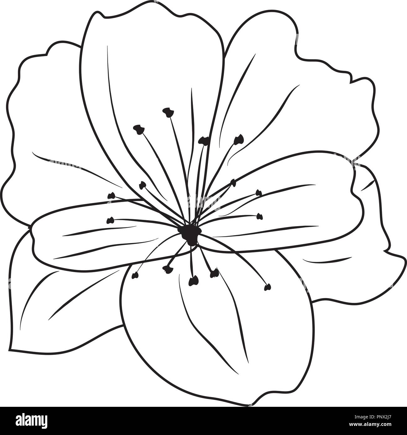 outline exotic flower with nature petals style Stock Vector Image & Art ...