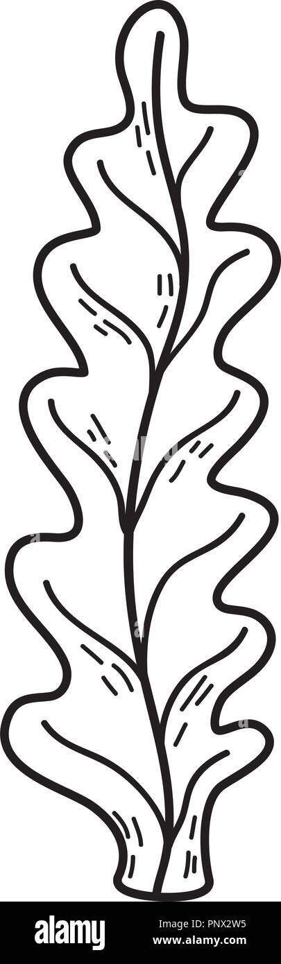 Seagrass Clipart Black And White