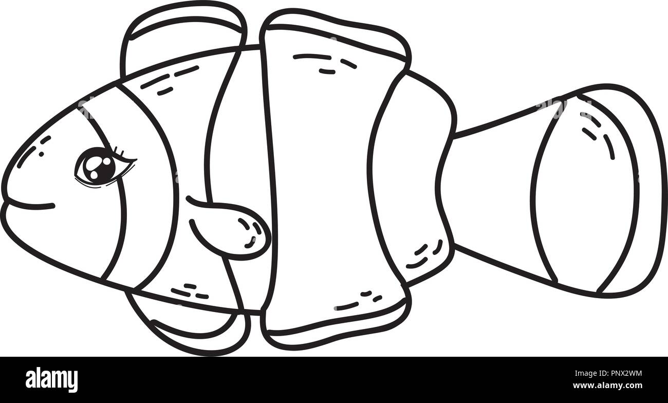 outline cute clownfish tropical sea animal Stock Vector Image & Art - Alamy