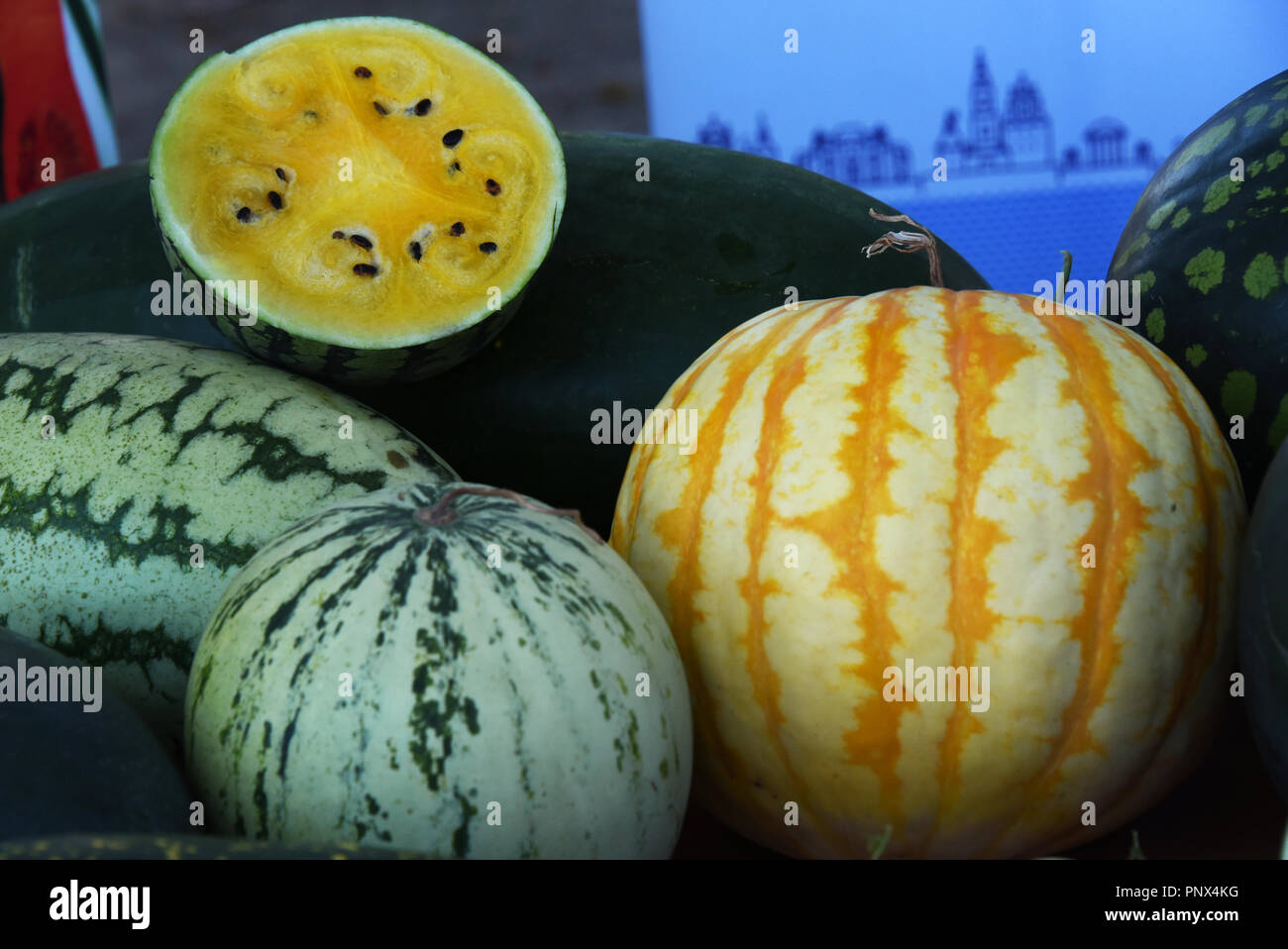 Different sorts of water-melons (moon, yellow, orange and red Stock ...
